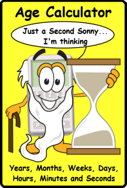 Age Calculator App Exactly How Old You Are In Years Months Weeks Days ...